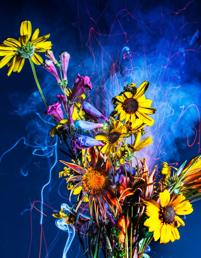 LMCC 2019 Art Auction - LMCC